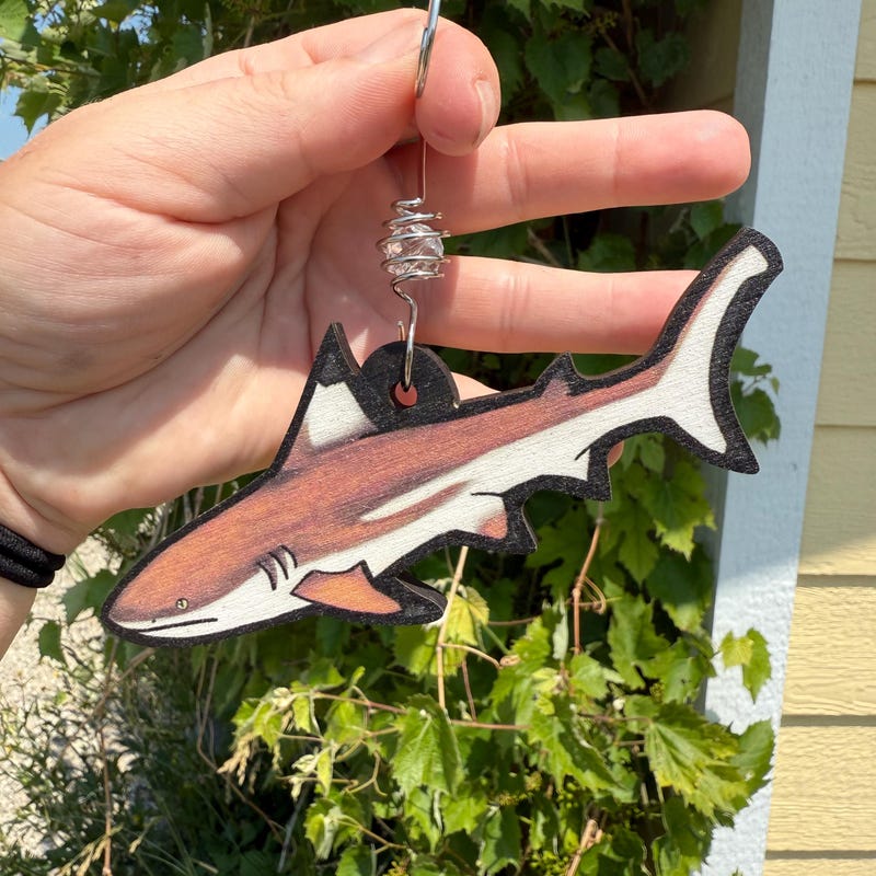 Shark Black Tip Reef - Etsy