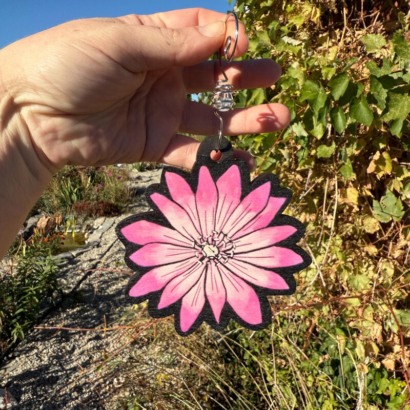Bitterroot Flower - Etsy