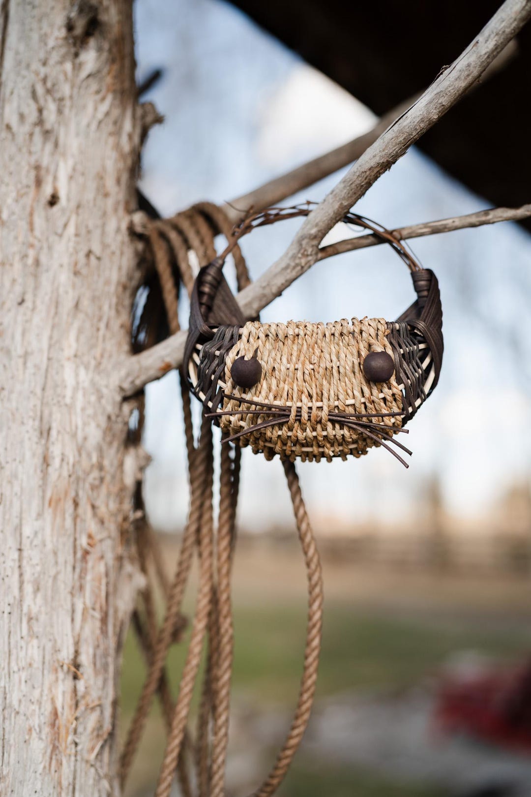 Handwoven Cat Face Basket, Sea Grass Wall Decor - Etsy