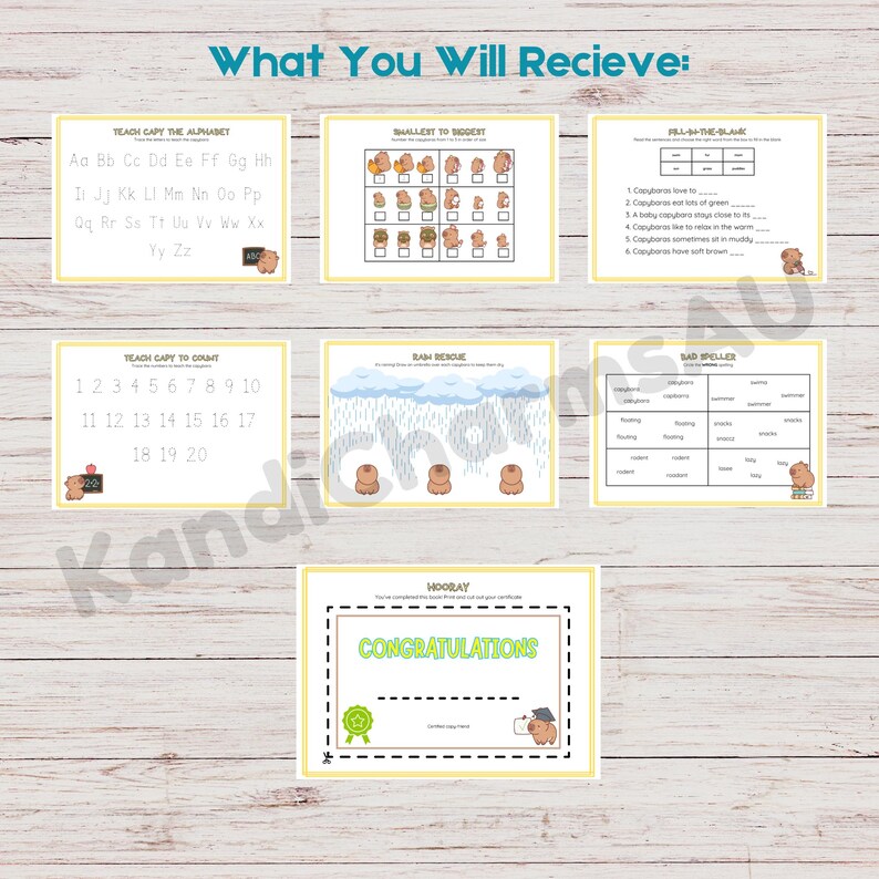 Capybara Activity Book | Busy Book | Personalised | Digital Download ...