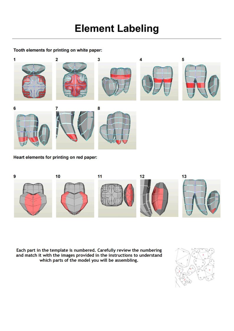 3D Papercraft Heart and Tooth – DIY Symbol of Love and Health ...