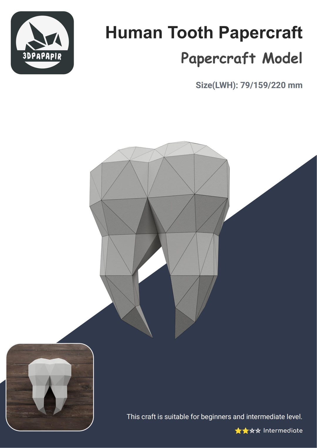 3D Papercraft Half Tooth Trophy – Low Poly Paper Art, DIY Wall Decor ...