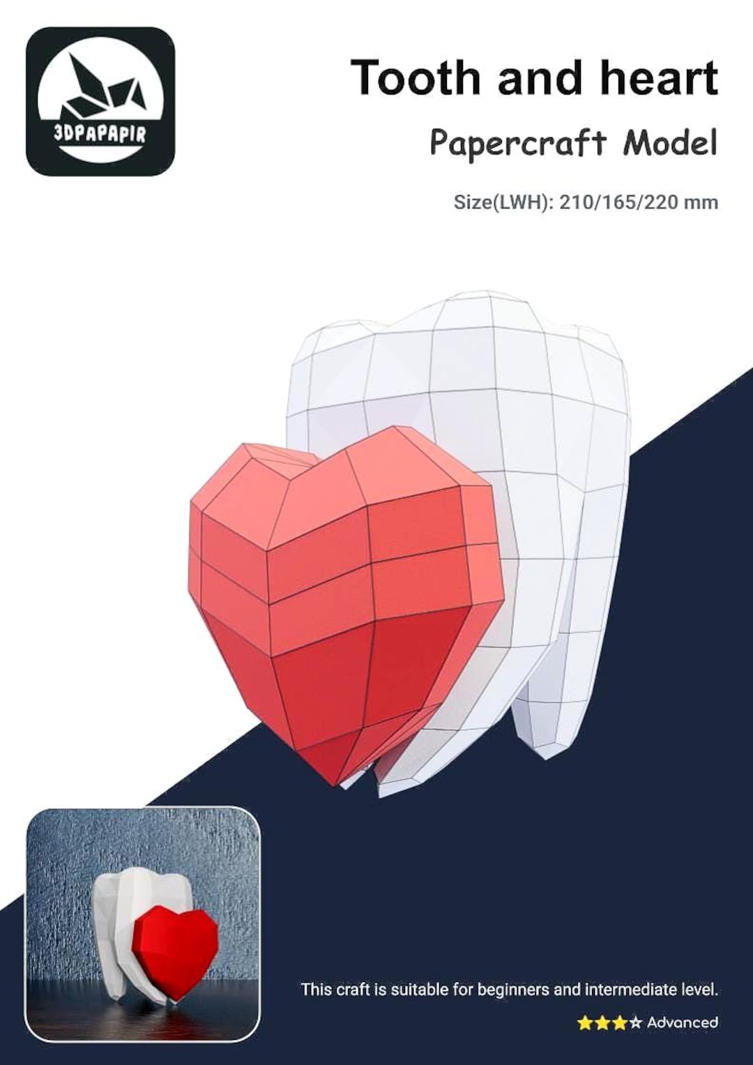 3D Papercraft Heart and Tooth – DIY Symbol of Love and Health ...