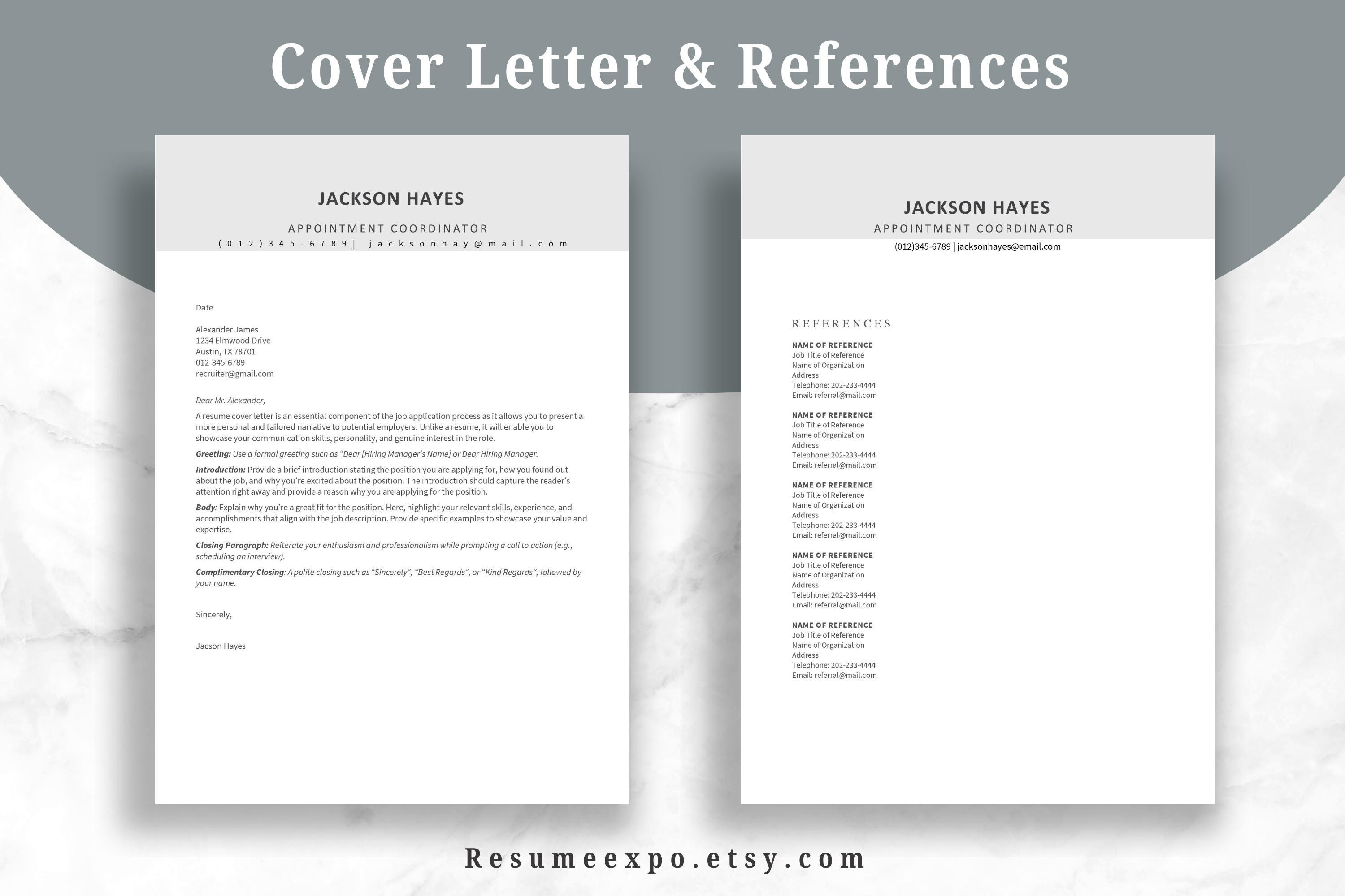 Google Docs Resume Template | ATS Friendly CV Template Word ...
