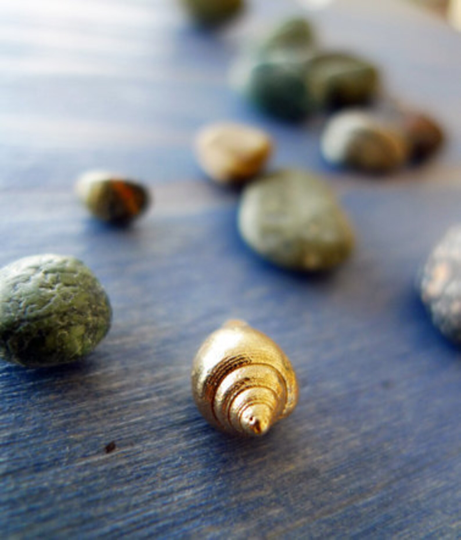 Deep Sea. 14K Solid Gold Real Seashell Charm Pendant. Natural | Etsy