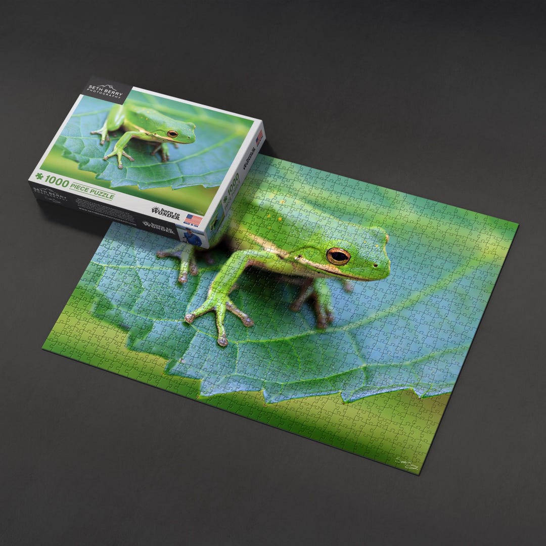 Animal Jigsaw Puzzle, Tree Frog, Photography Puzzle, Gift for Puzzle ...