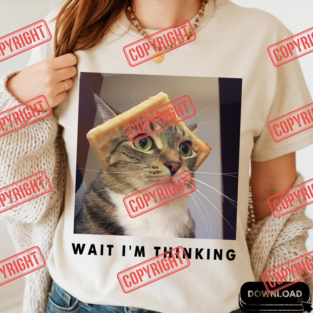 Weirdcore Cat PNG, Grunge Harajuku Trippy Gothic Digital File, Creepy ...