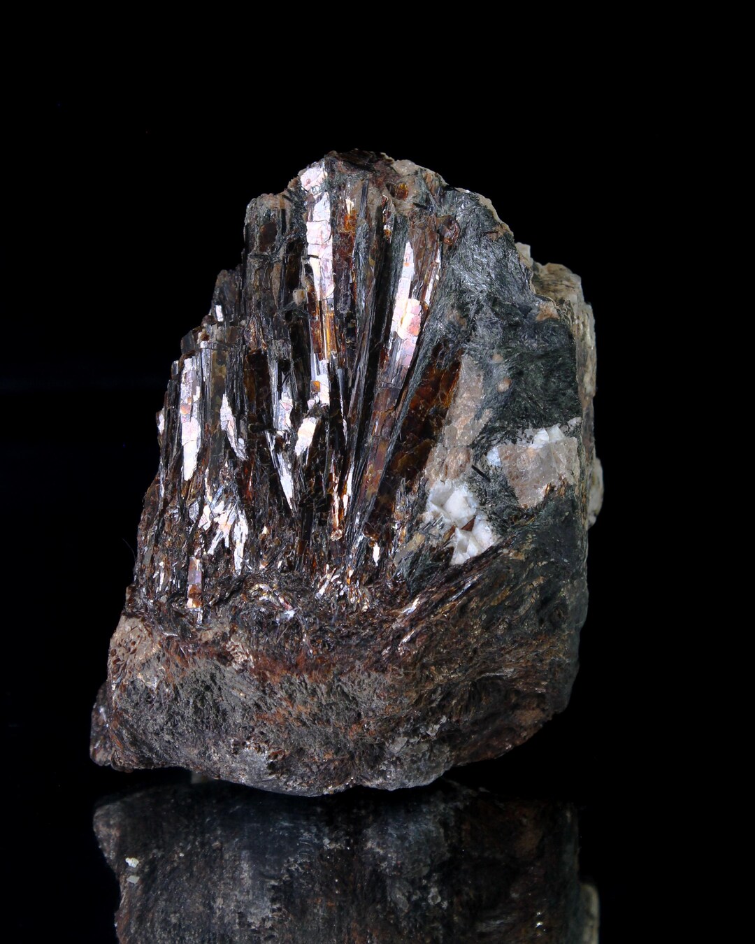 Astrophyllite Mineral Specimen With Aegirine and Eudialyte, Kola ...