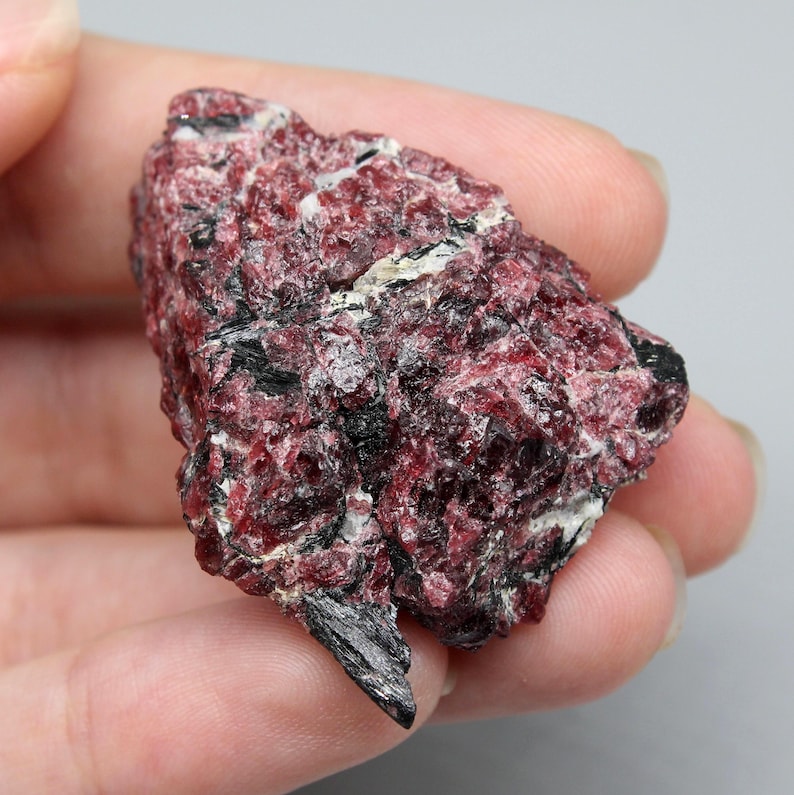 Blood Red Eudialyte With Aegirine Horn Crystal Raw Collectible Crystal ...