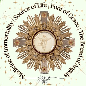 Eucharist Holy Communion Garden & House Banner, Bread of Angels Flag ...