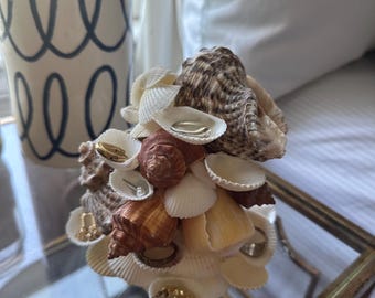 Shell Jewelry Holder - Etsy