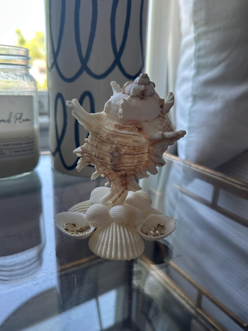 Shell Jewelry Holder - Etsy