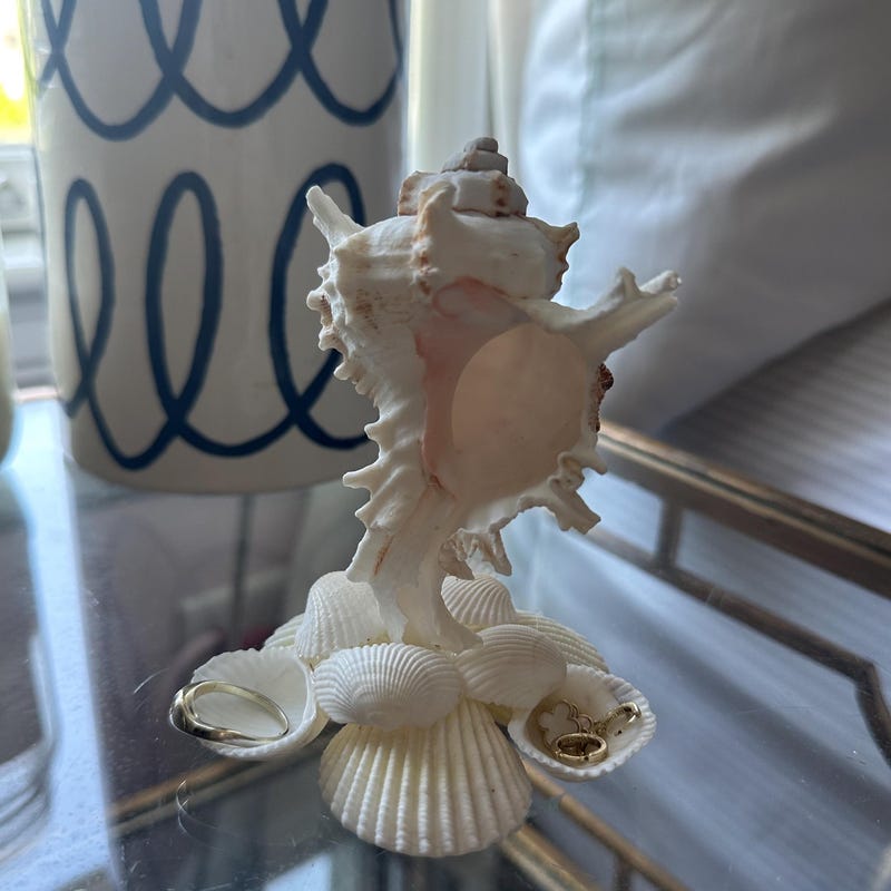 Shell Jewelry Holder - Etsy