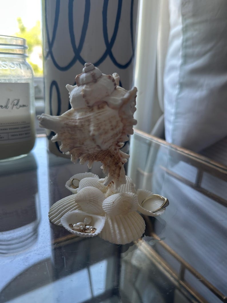 Shell Jewelry Holder - Etsy