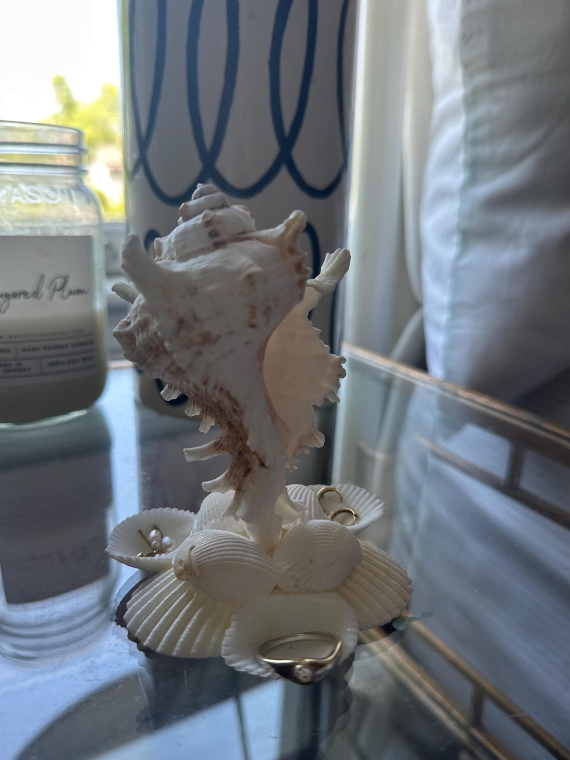 Shell Jewelry Holder - Etsy