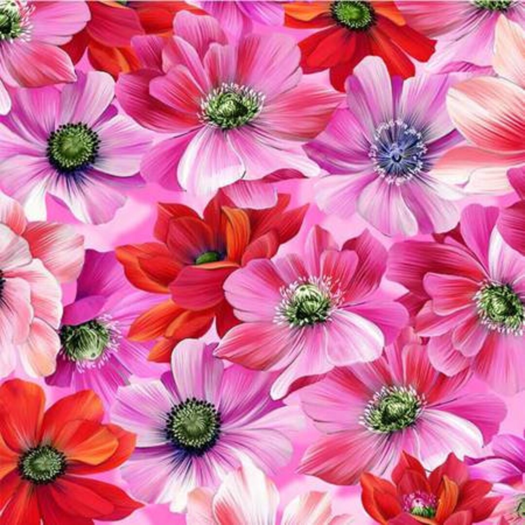 Wide Back Fabric, Flowers Quilt Back, Floral Wide Back, Michael Miller ...