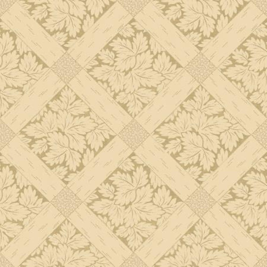 Wide Back Fabric, Floral Fabric, 108 Quilt Backing, R360580-TAN, Tan ...