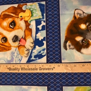 Puppy Fabric, Puppy Panel, Trendy Puppies, Dog Panel, 24 X 43 Panel ...