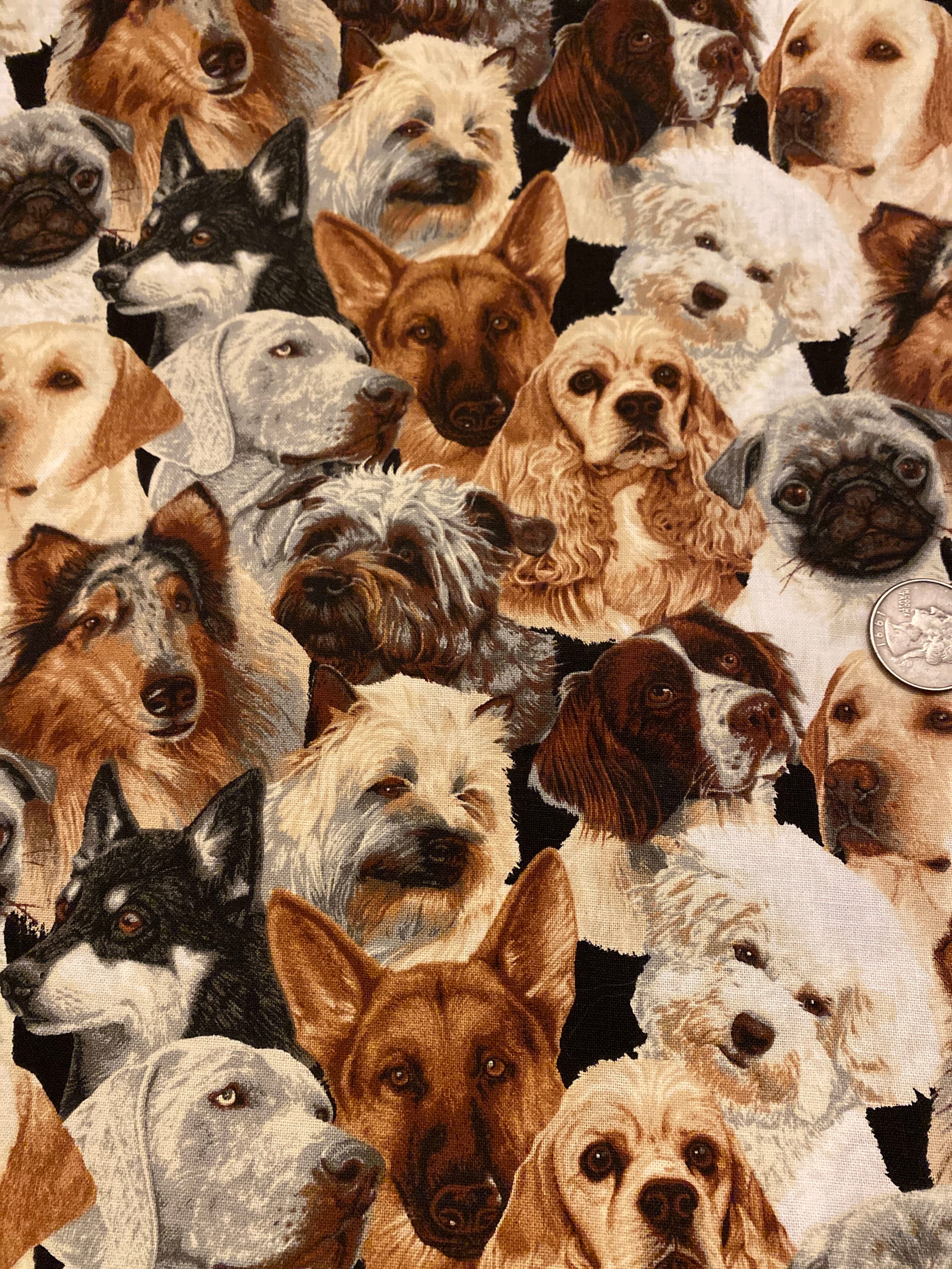 Puppy Fabric, Dog Fabric, Packed Dogs, Fabric Traditions, Adorable Dog ...