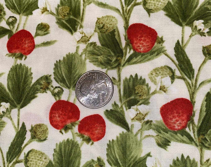 Strawberry Fabric, Strawberry Garden Fabric, Cotton Quilting Sewing ...