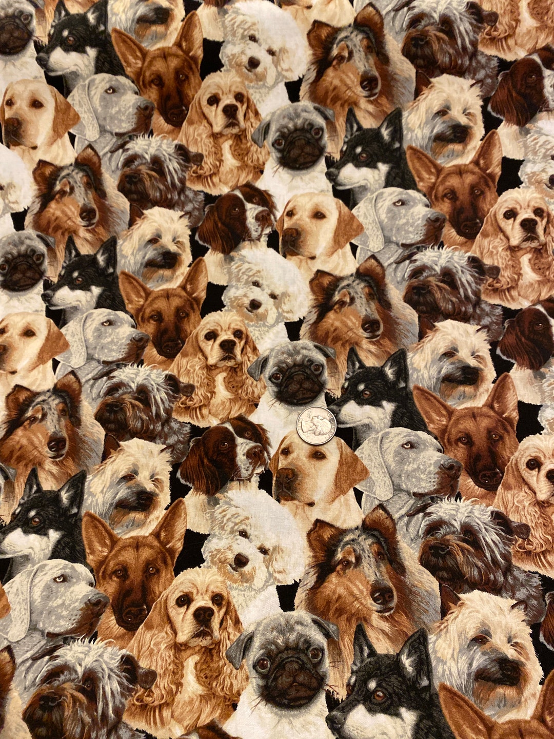 Puppy Fabric, Dog Fabric, Packed Dogs, Fabric Traditions, Adorable Dog ...