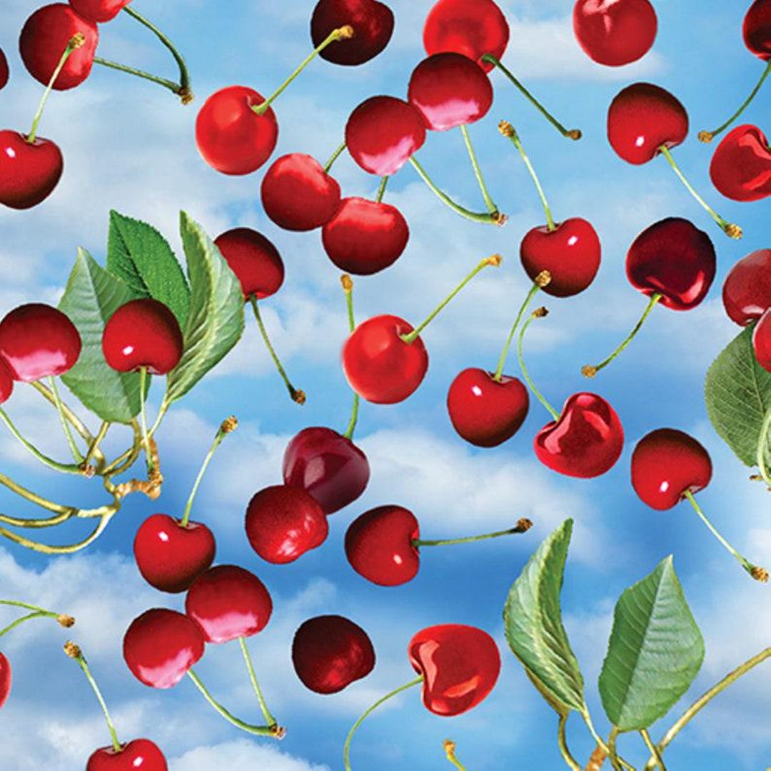 Cherry Fabric, Cotton Quilting Sewing, Blue Cherry Hill, Cherries ...