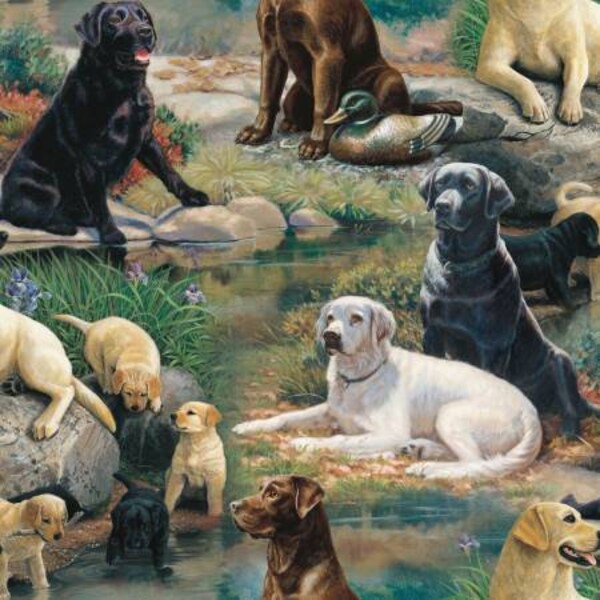 Hunting Dog Fabric - Etsy