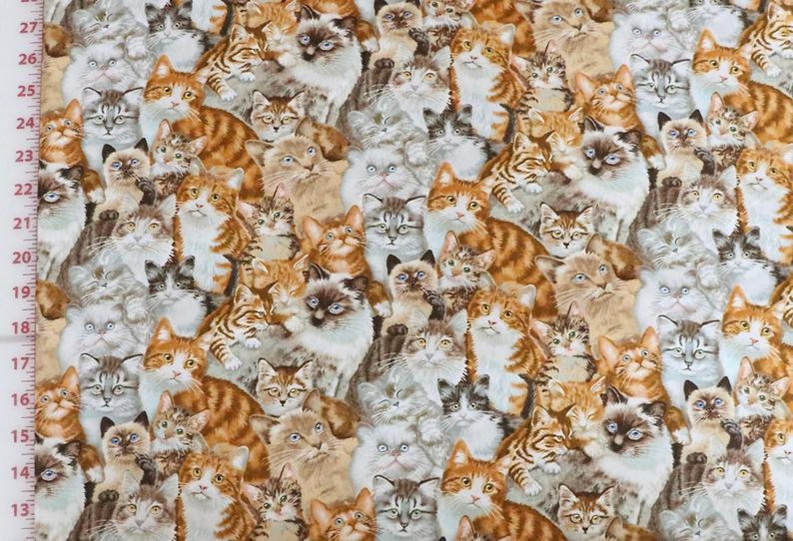 Kitten Fabric Packed Kittens Petpourri Fabric Adorable - Etsy