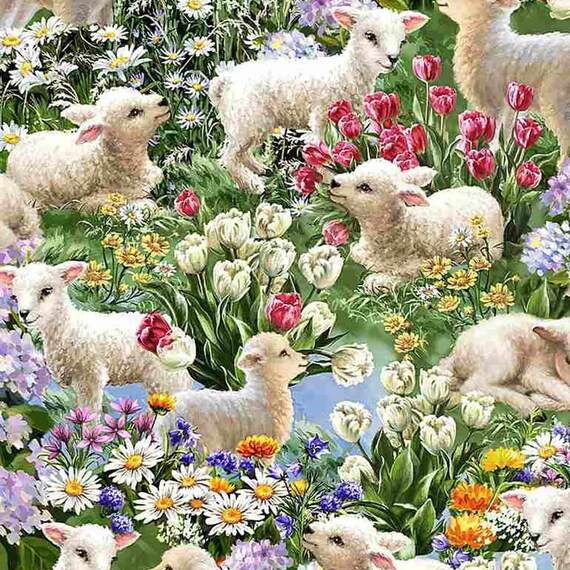 Baby Lambs In Spring