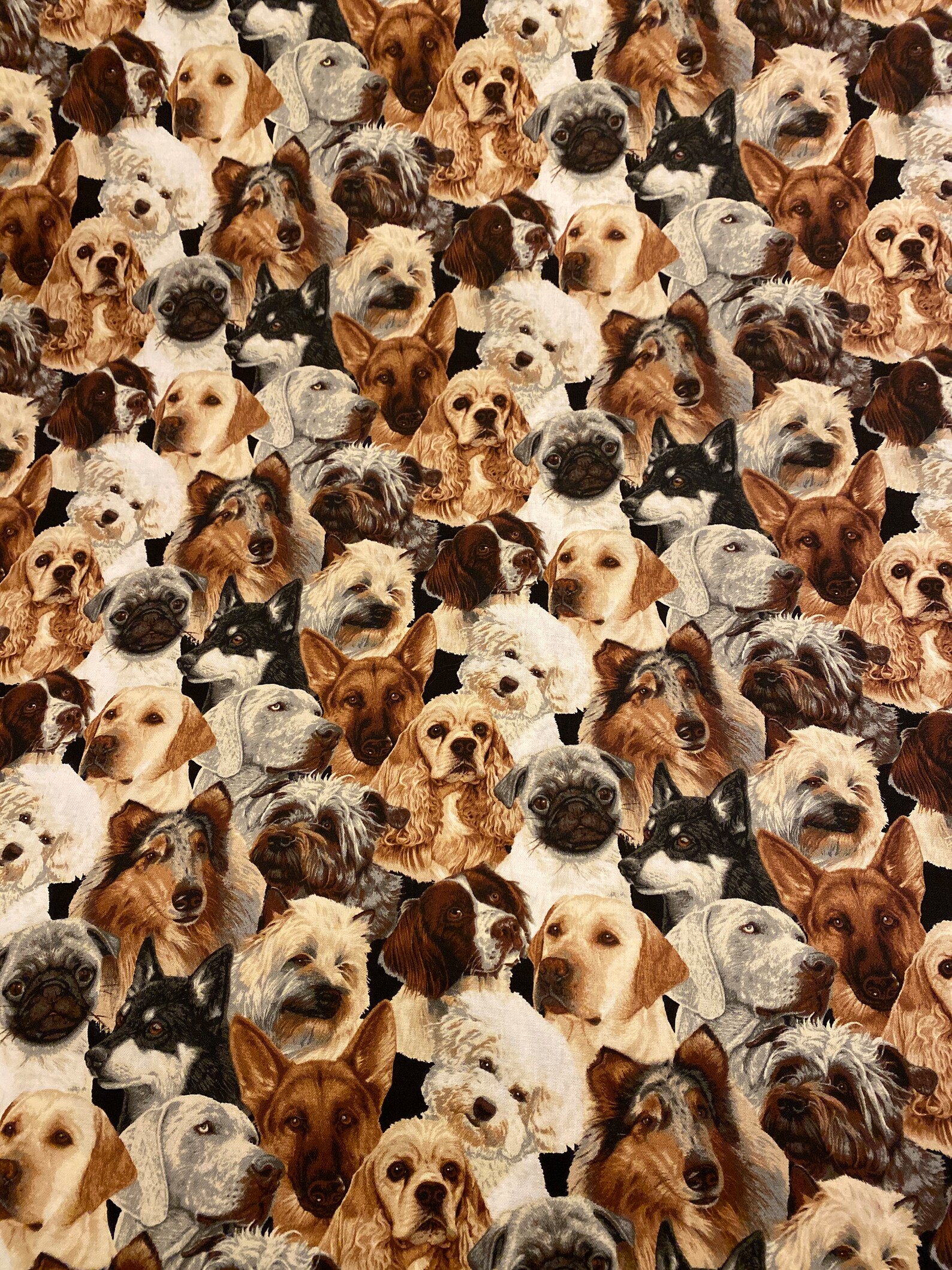 Puppy Fabric, Dog Fabric, Packed Dogs, Fabric Traditions, Adorable Dog ...