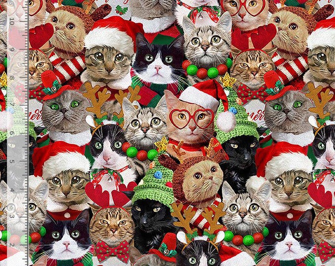 Christmas Cats, Christmas Fabric, Santa Hats Cats, Holiday CD3498 ...
