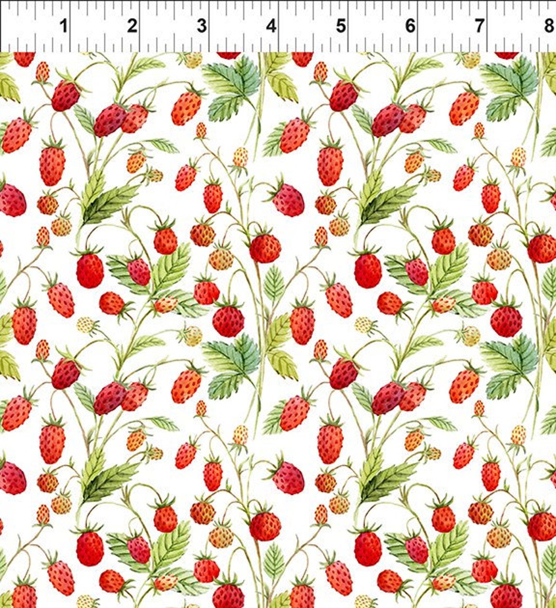 Strawberry Fabric, Hedgehog Hollow, in the Beginning Fabric, 8 HH 1 ...