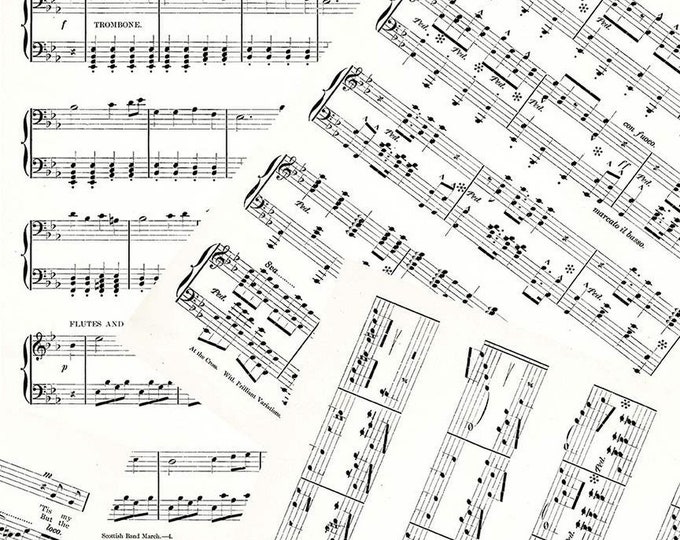Music Notes Fabric, Musical Notes, Music Notes Words, White Music ...