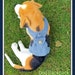 Dog Backpack and Harness - Crochet Pattern - PDF - Etsy