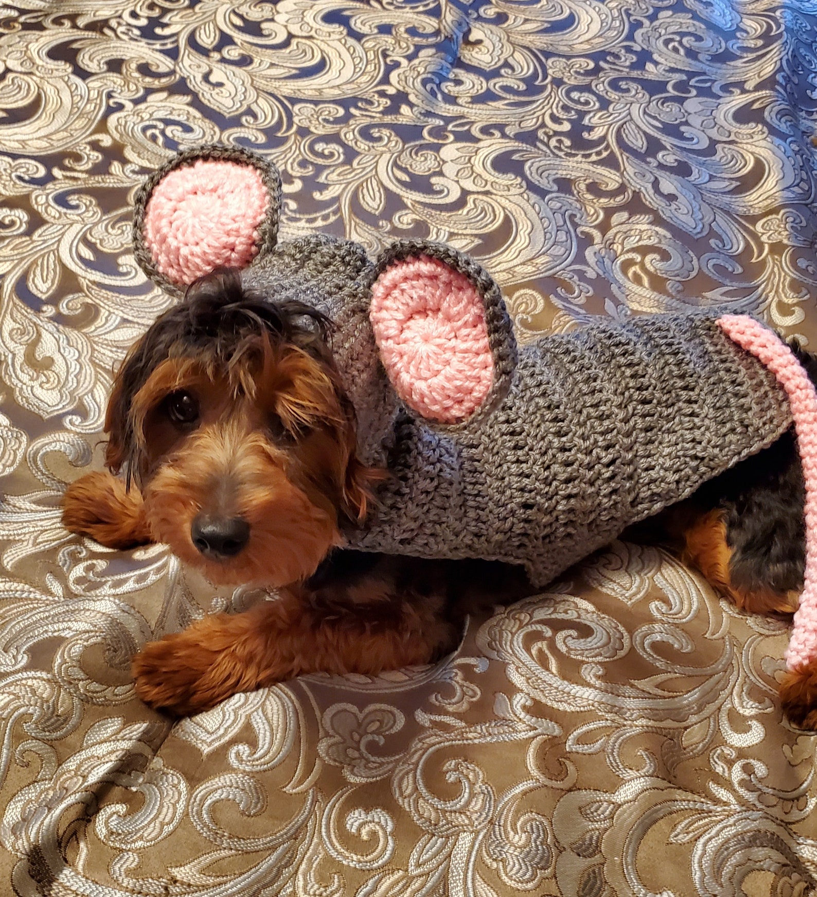 My Little Rat Puppy or Dog Sweater Crochet Pattern PDF | Etsy