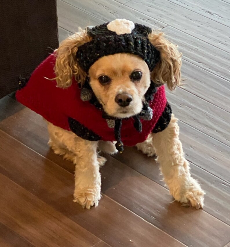Bad Ass Dog Sweater Crochet Pattern - PDF Instant Download - Etsy