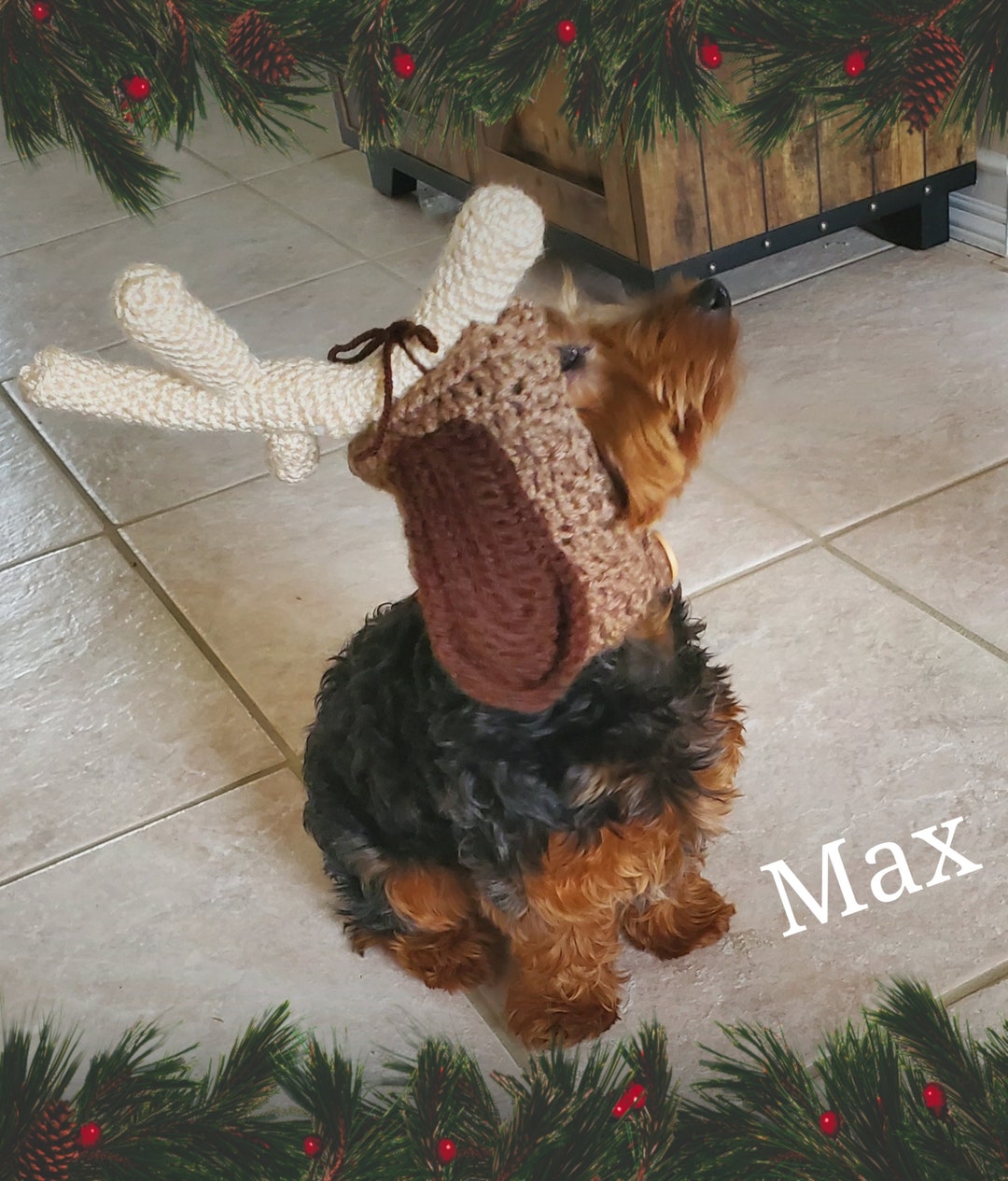 Grinch Inspired Max Dog Hood Crochet Pattern - PDF - Etsy