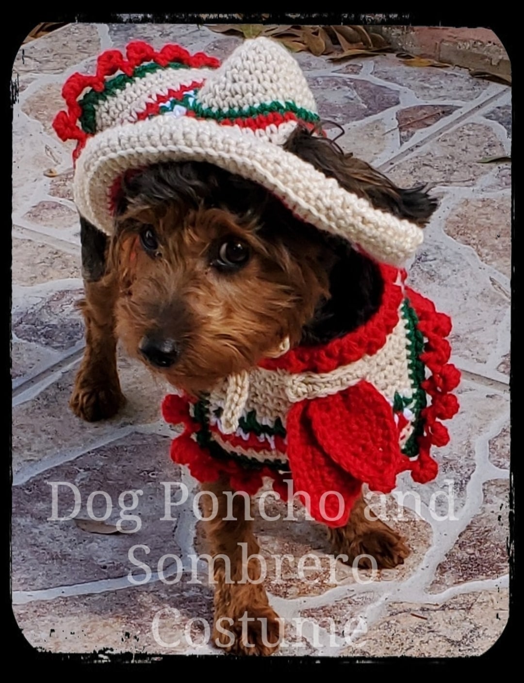 Dog Poncho and Sombrero for Cinco De Mayo Crochet Pattern PDF - Etsy