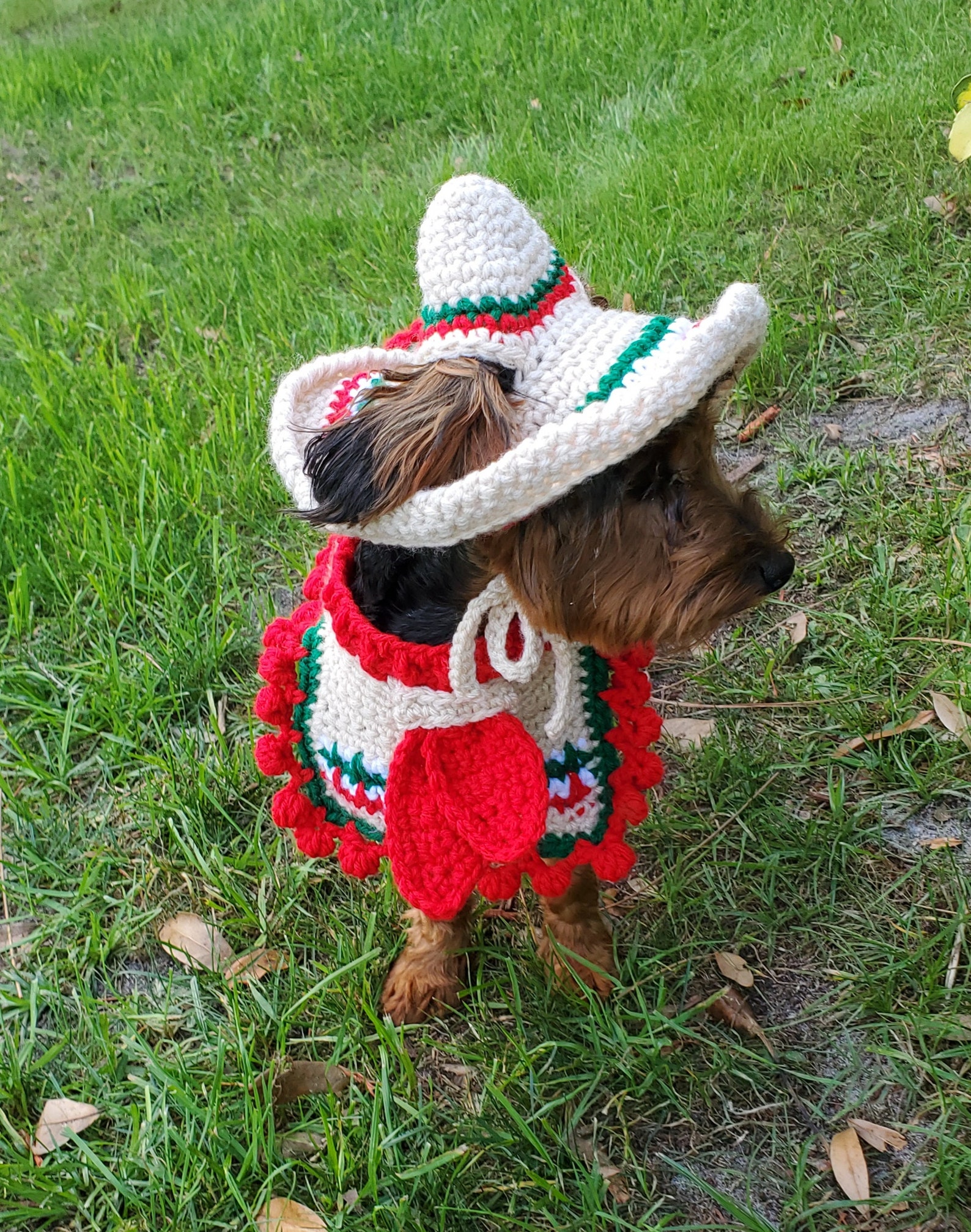 Dog Poncho and Sombrero for Cinco De Mayo Crochet Pattern - Etsy