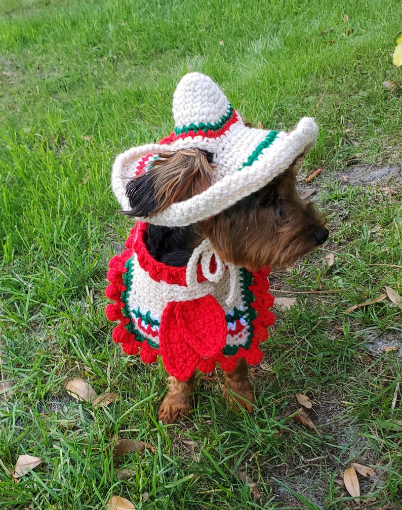 Dog Poncho and Sombrero for Cinco De Mayo Crochet Pattern - Etsy