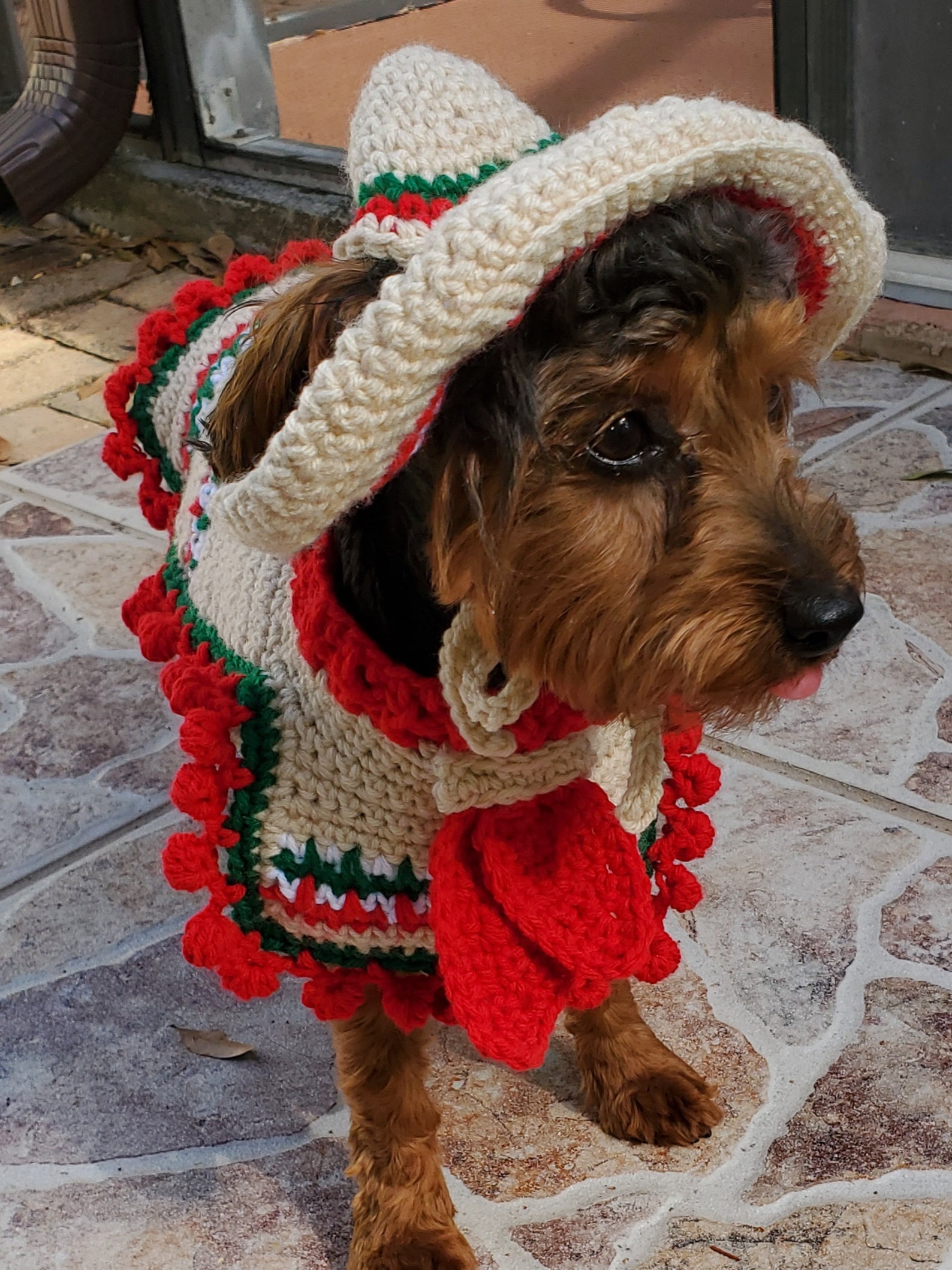 Dog Poncho and Sombrero for Cinco De Mayo Crochet Pattern - PDF - Etsy