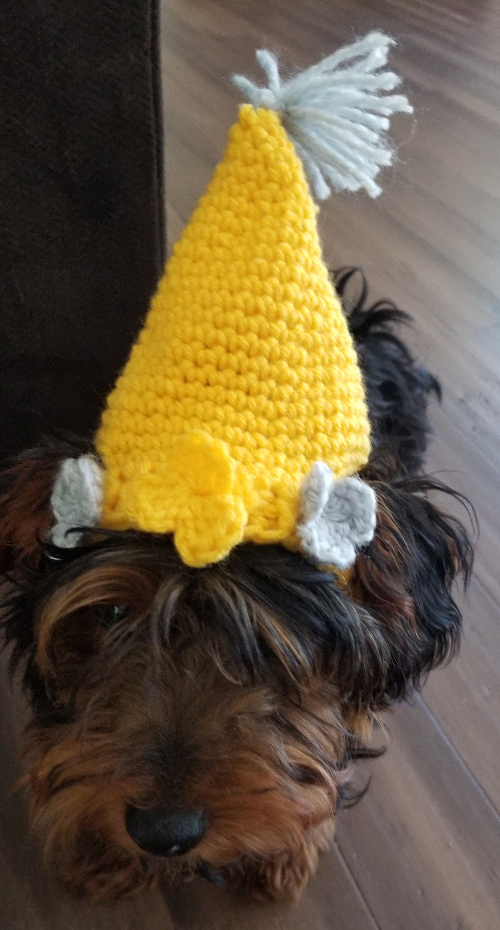 12 Different Holiday Pet Hats Pattern PDF | Etsy