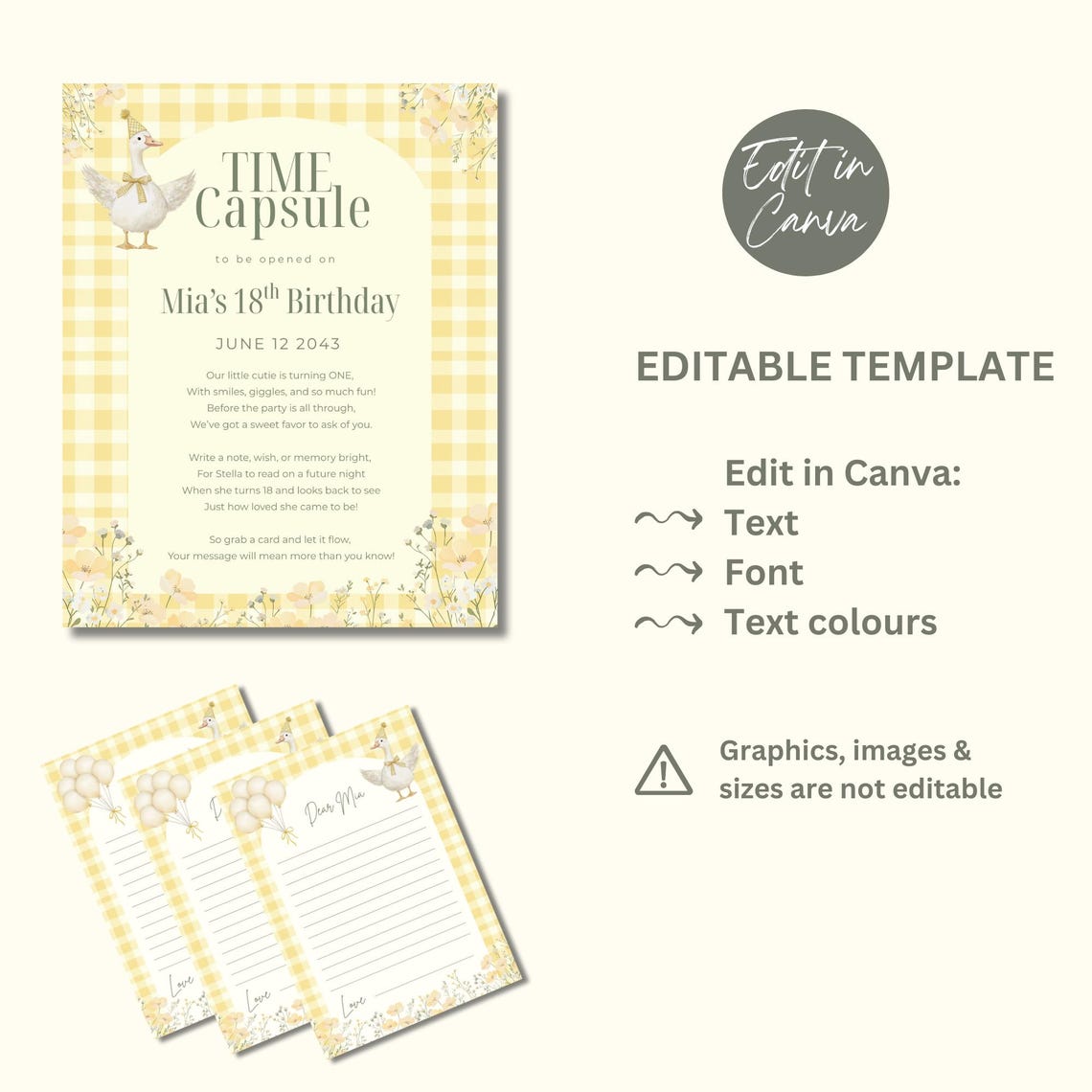 One Silly Goose Time Capsule, Silly Goose Birthday Sign Template ...