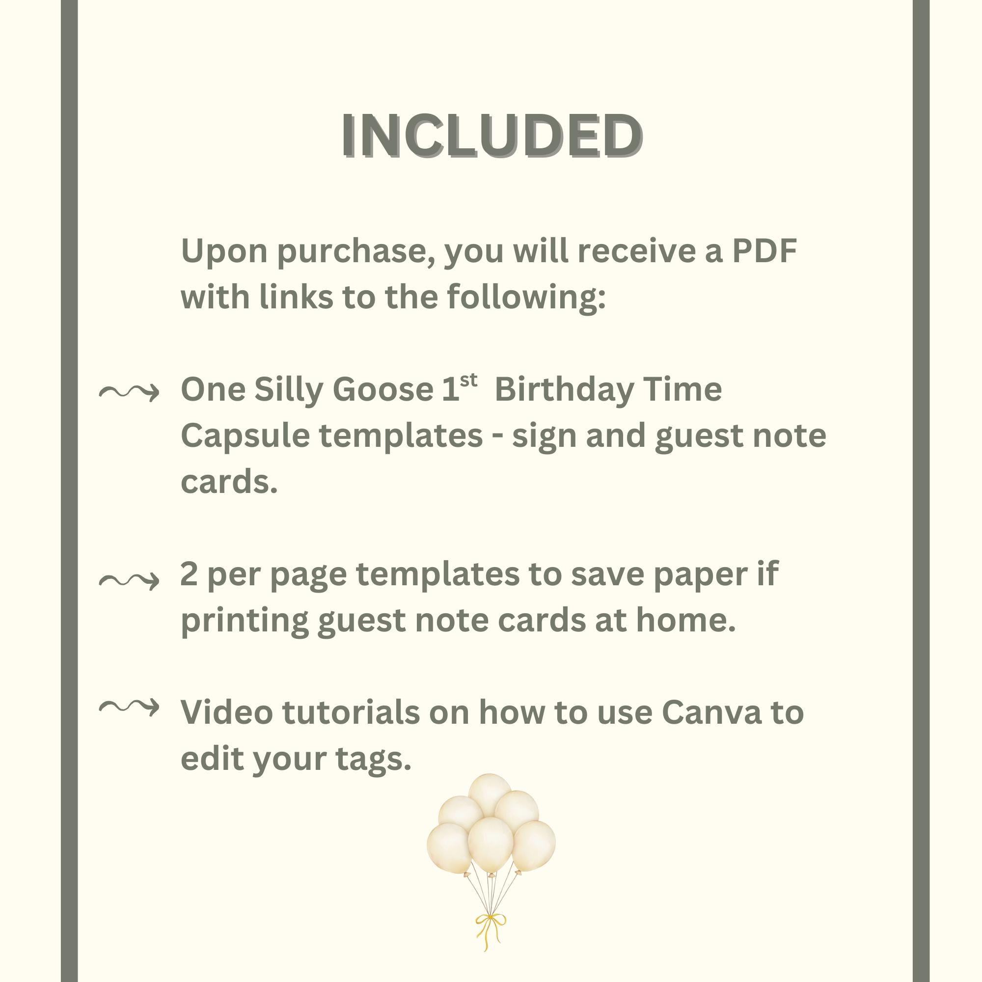 One Silly Goose Time Capsule, Silly Goose Birthday Sign Template ...