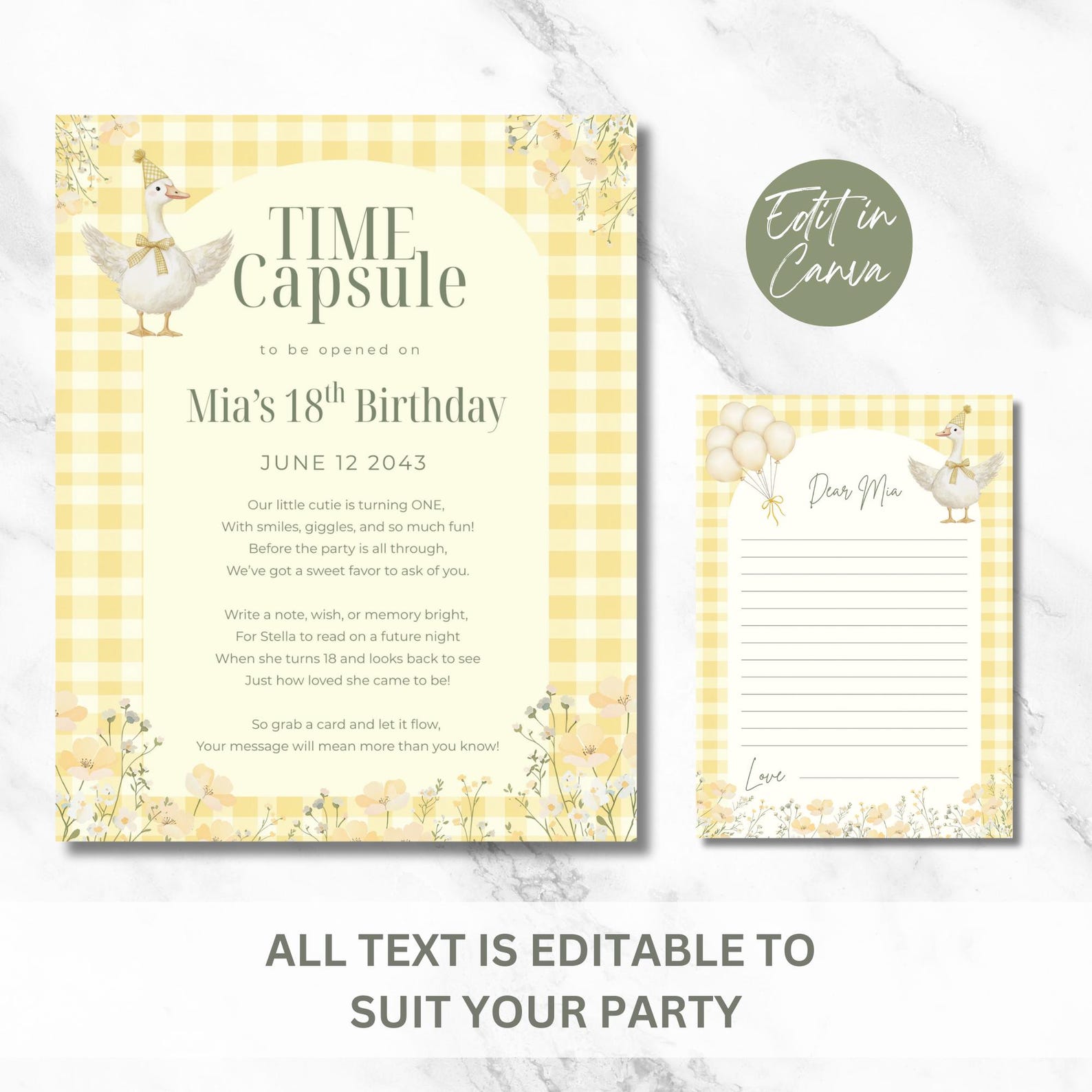 One Silly Goose Time Capsule, Silly Goose Birthday Sign Template ...