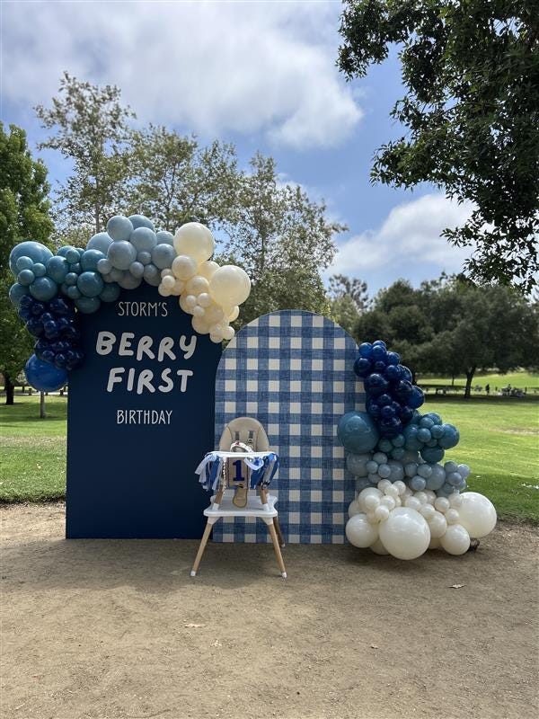 Berry First Birthday Balloon Arch Kit: Blueberry Theme DIY Garland - Etsy