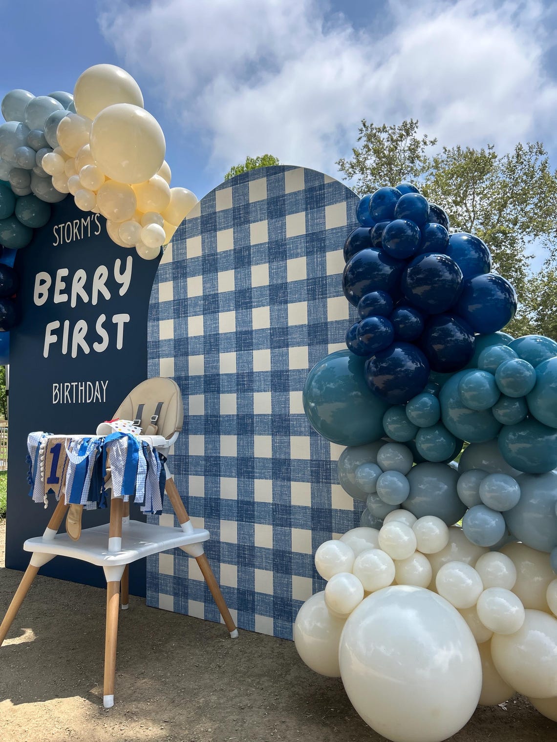 Berry First Birthday Balloon Arch Kit: Blueberry Theme DIY Garland - Etsy
