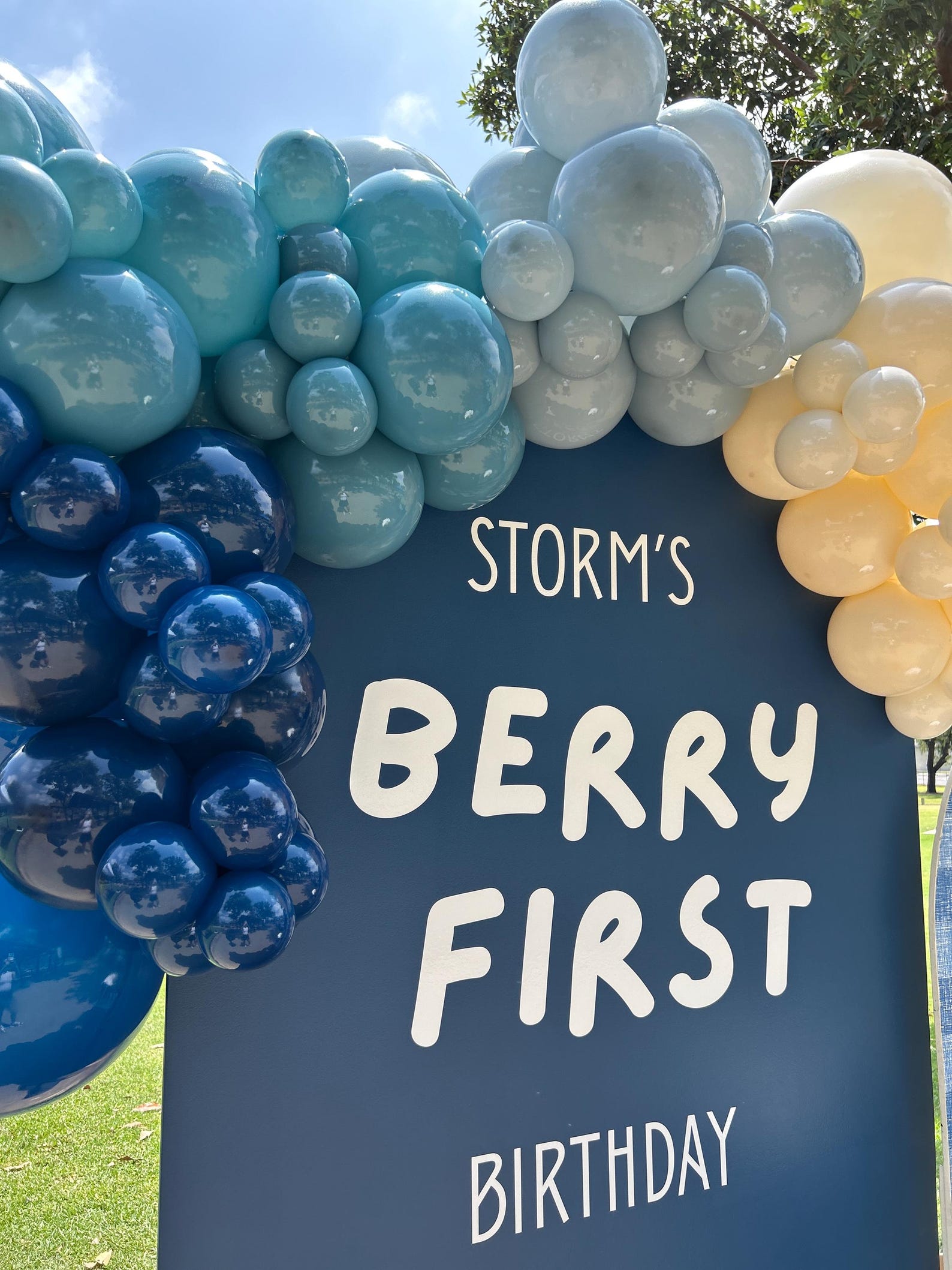 Berry First Birthday Balloon Arch Kit: Blueberry Theme DIY Garland - Etsy