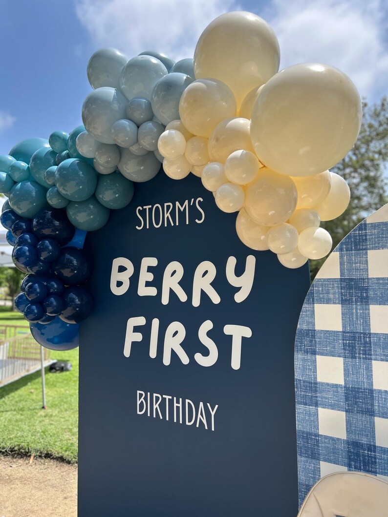 Berry First Birthday Balloon Arch Kit: Blueberry Theme DIY Garland - Etsy