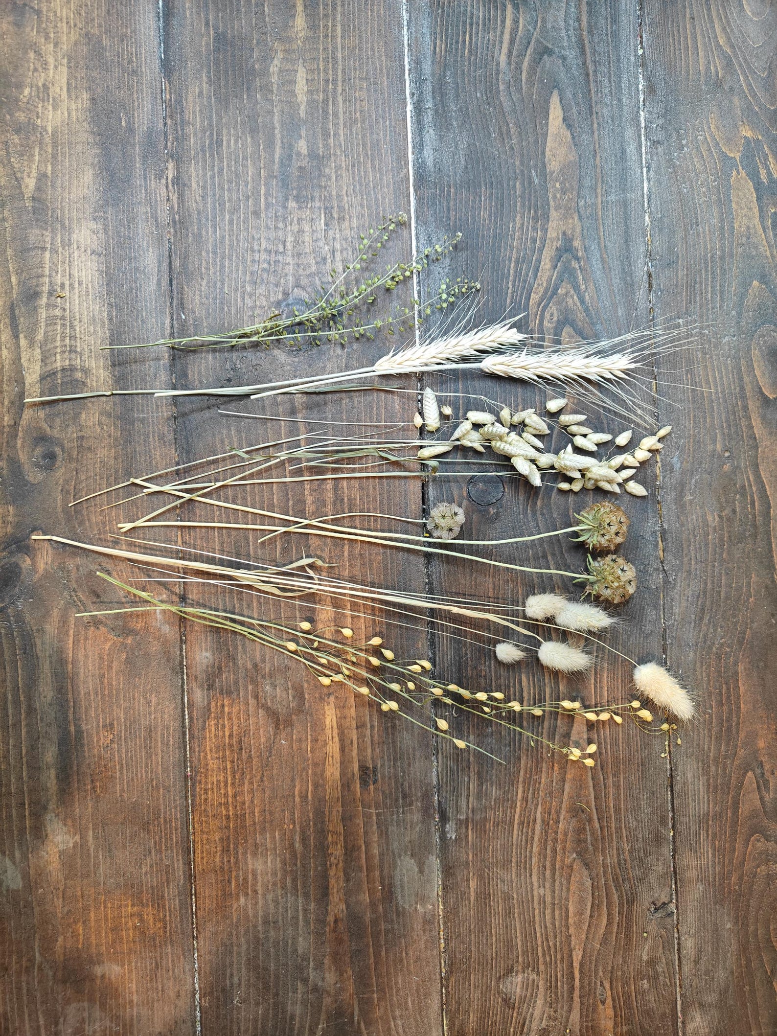 25 Stems Greenery/filler Dried Flower Craft Box - DIY Preserved Florals ...